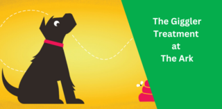 Home | Arts in Education